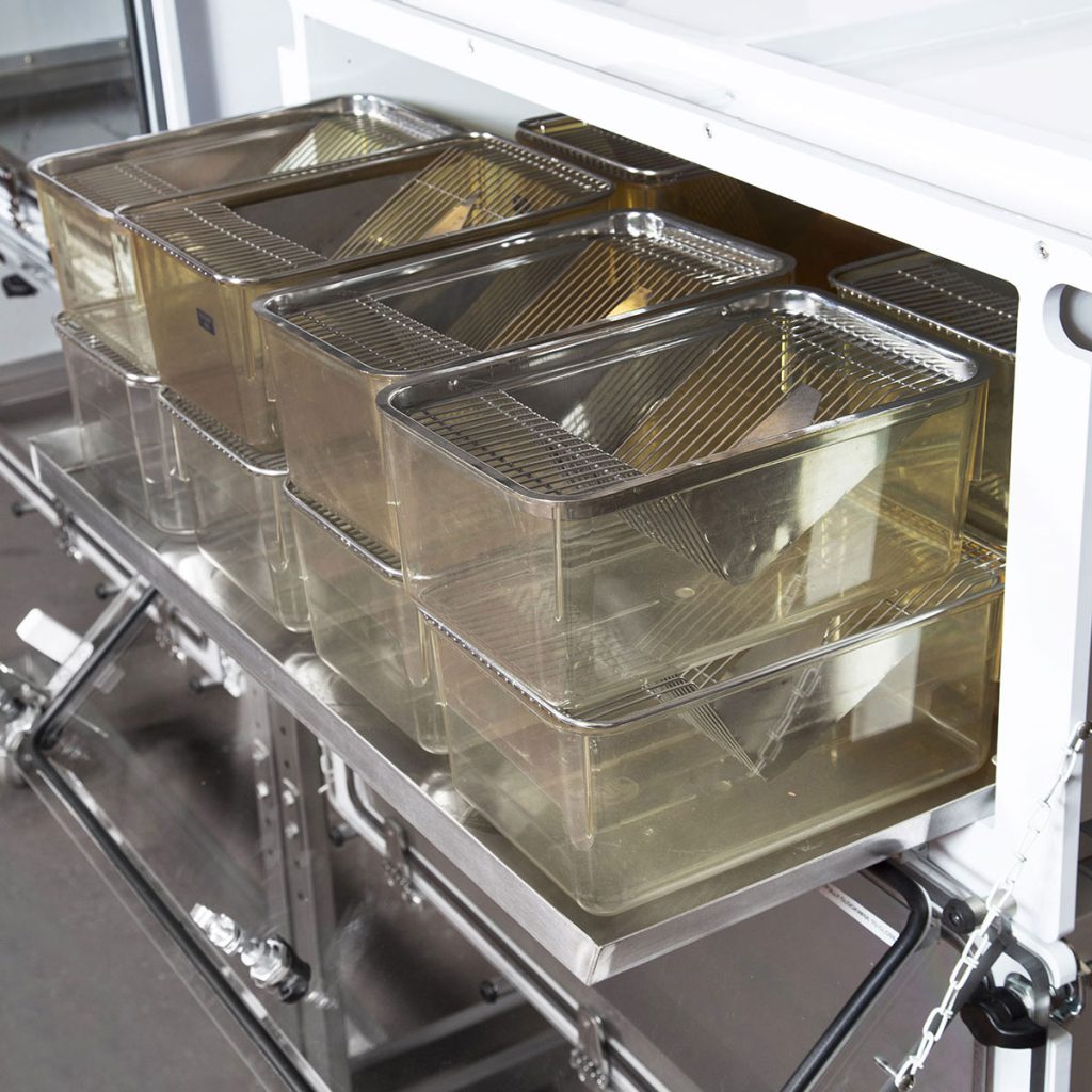 TSVF-4 Multi-Level Selection Four Chamber Rack